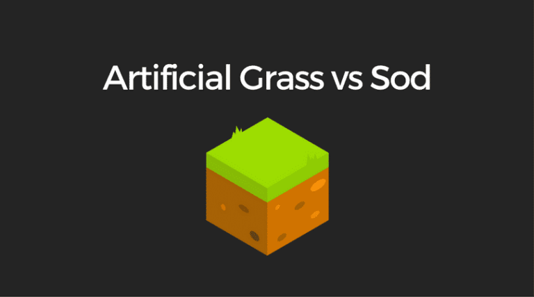 Artificial Grass vs Sod: A Look at the Differences - Artificial Grass ...