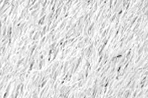 Artificial Turf Underlayment Pad - Artificial Grass Liquidators